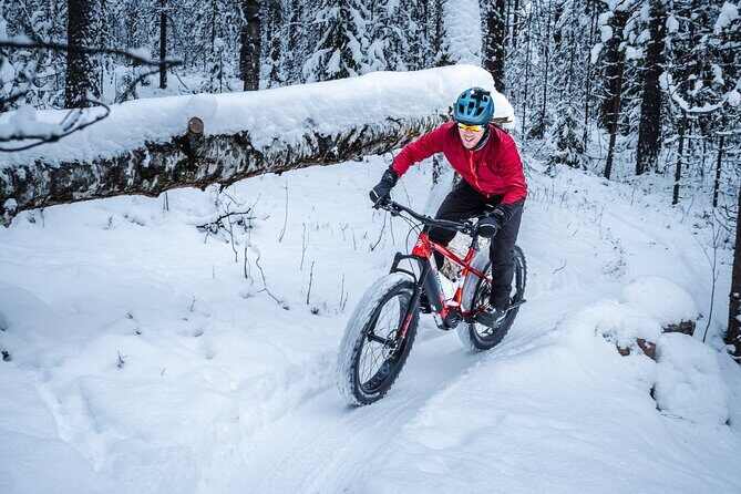 Private Electric Fat Bike Winter Tour in Rovaniemi - What’s Included & What to Expect
