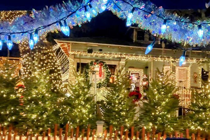 Private Electric Golf Cart Nights of Lights Tour up to 12 people - A Deep Dive into the Nights of Lights Golf Cart Tour