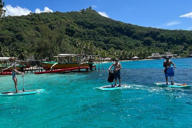 Private Electric Paddle Cruise in Bora Bora - Ease and Safety