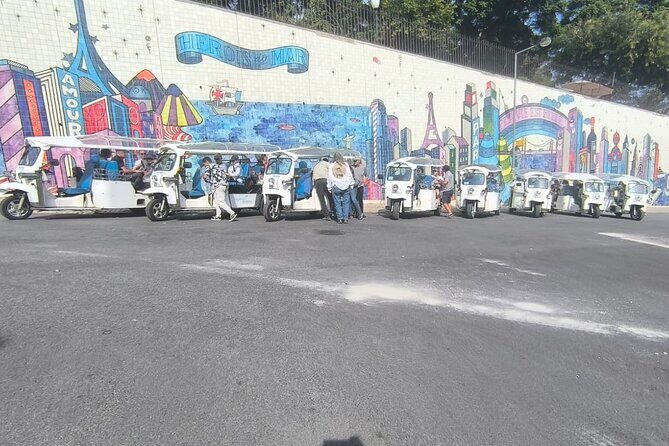 Private Electric Tuk Tuk Adventure in Lisbon - Who is This Tour Best For?