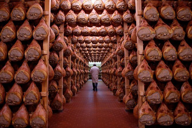 Private Emilia Romagna Food Tour Full Day - A Deeper Look at the Emilia Romagna Food Tour