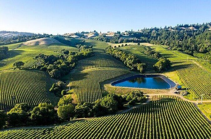 Private Enchanted Napa & Sonoma Wine Tour from Oakland - FAQs