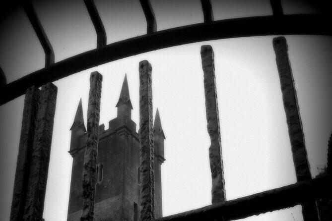 Private Ennis Dark History Tour with Dr Jane O'Brien (1-6 people) - A Closer Look at the Ennis Dark History Tour