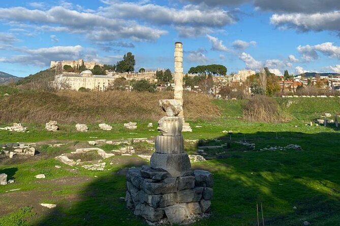 Private Ephesus and Artemis Temple Half Day Tour / On Time Return - Who Would Love This Tour?