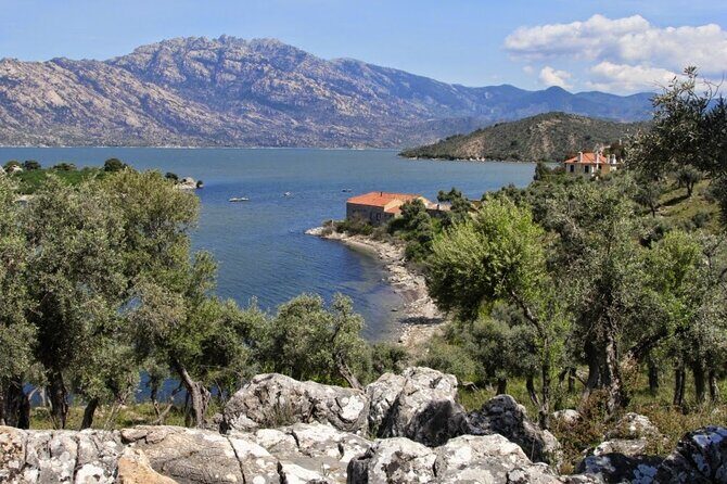 Private Ephesus Day Tour From Bodrum - Who Will Love This Tour?