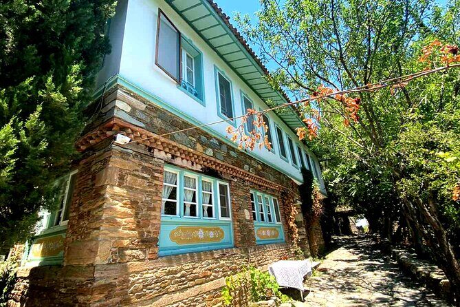 Private Ephesus Tour & Cooking Class in Village - Transportation, Timing, and Group Size