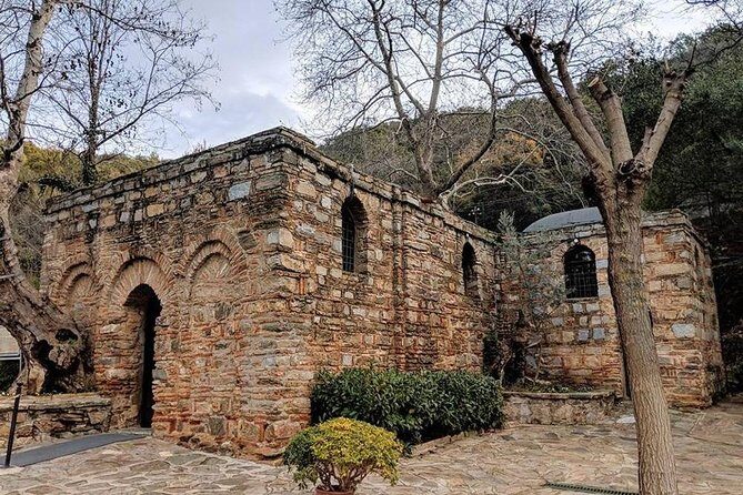 PRIVATE EPHESUS TOUR from Bodrum Cruise Port - A Deep Dive into the Ephesus Experience