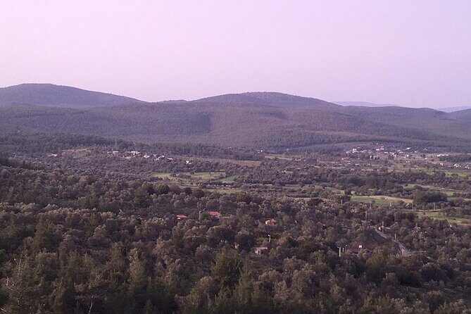 Private Etrim Carpet Village Tour from Bodrum Port / Hotels - A Deep Dive into the Itinerary