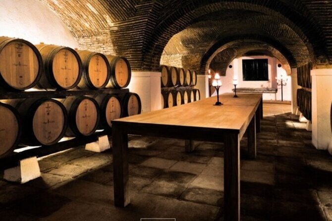 Private Evora Heritage and Alentejo Wine Tour from Lisbon - Who is this tour best for?  