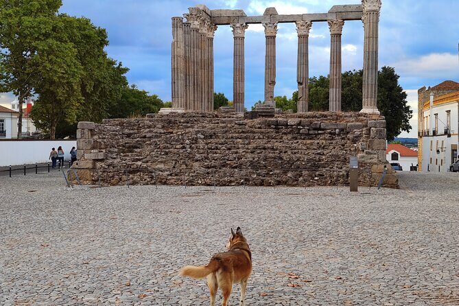 Private Évora Tour - Megaliths, Historical Center and Cork Region - FAQ