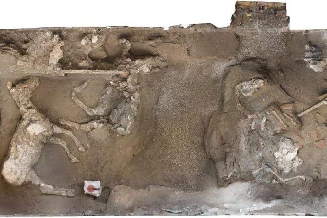 Private Exclusive VIP Tour of Positano, Pompeii & Mount Vesuvius - Who Will Love This Tour?