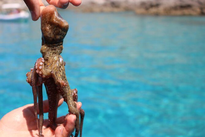 Private excursion - FAQ