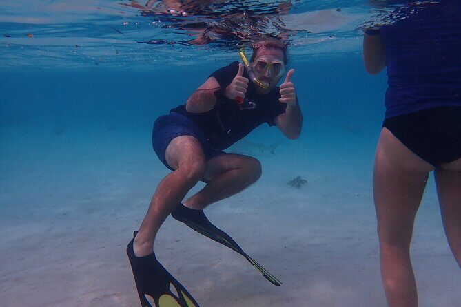 Private excursion Half day Moorea Discovery of the lagoon - The Sum Up
