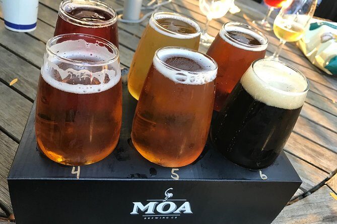 Private Excursion: Scenic and Seascape Delights from Picton - Authentic Feedback and Tips from Past Travelers