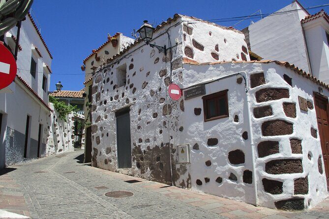 Private Excursion The mountains of Gran Canaria for 2 to 4 people - Key Points