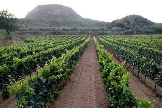 Private Excursion to Ancient Olympia - bee farm & winery - FAQ