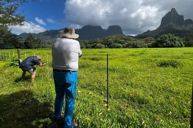 Private excursion to Moorea, photo tour & immersive discovery - Authentic Experiences & Insights from Reviews