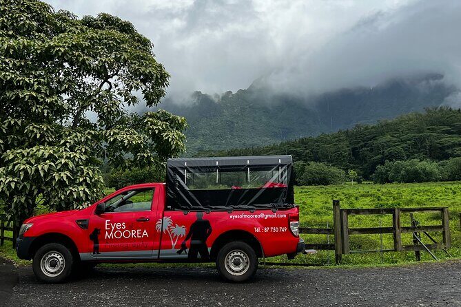 Private excursion to Moorea, photo tour & immersive discovery - The Sum Up