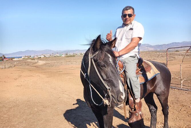 Private excursion to the bufadora and horseback riding on the beach - Who Should Book This Tour?