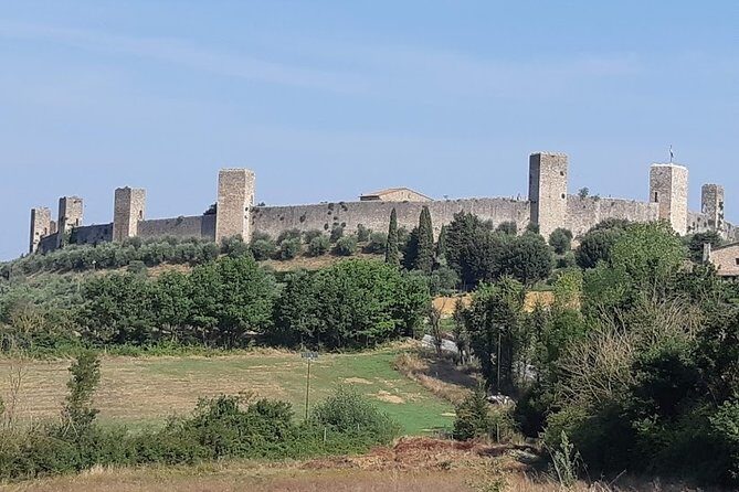 PRIVATE EXCURSION: Volterra & San Gimignano + wine tastings (from Livorno Port) - Who Will Enjoy This Tour?