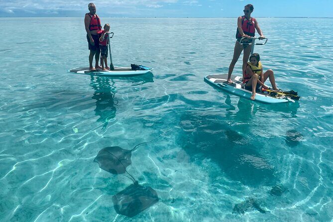 Private Excursion with E-Board in Moorea with snorkeling - The Practical Details