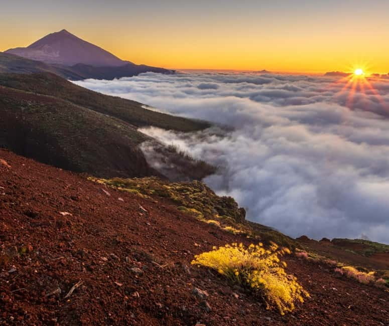 Private excursions for cruise-ship passengers - The Sum Up: Why This Tour Is Worth Considering