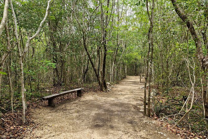 Private experience 5 cenotes at Riviera Maya - Practical Tips for Future Travelers