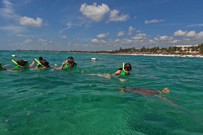 Private Experience in Akumal with Snorkeling - Practical tips for travelers