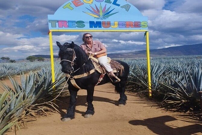 Private Experience of Tequila Town from Jalisco - An Overview of What to Expect