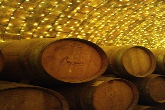 Private Experience of Tequila Town from Jalisco - Transportation and Practicalities