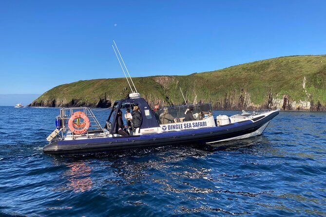 Private family sea safari - An In-Depth Look at the Dingle Sea Safari