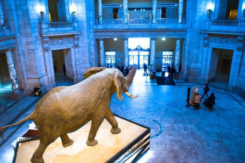 Private Family walking tour in Washington - Key Points