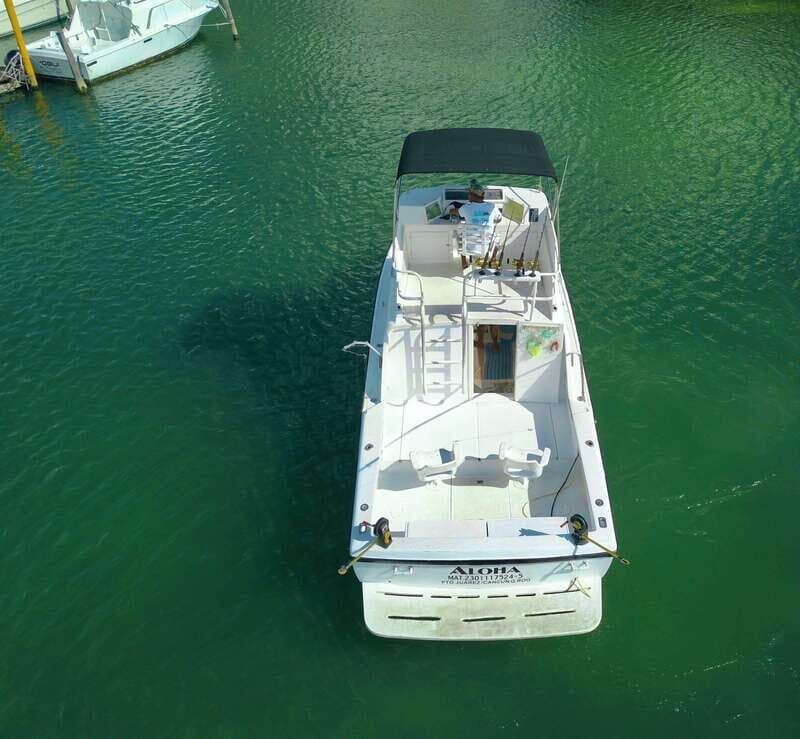 Private fishing charter 31 feet for maximun 6 people - An In-Depth Look at the Private Fishing Charter