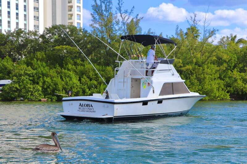 Private fishing charter 31 feet for maximun 6 people - Final Thoughts: Is It Worth It?