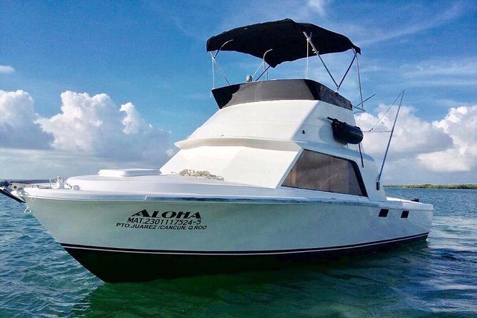 Private fishing charter Bertram 31ft 6 pax max if you don't fish you don't pay - Who Will Love This Tour?