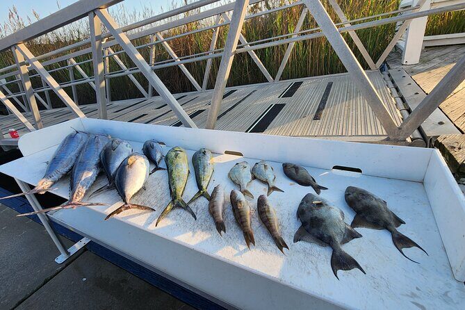 Private Fishing Charter in North Myrtle Beach - An In-Depth Look at the Private Fishing Charter