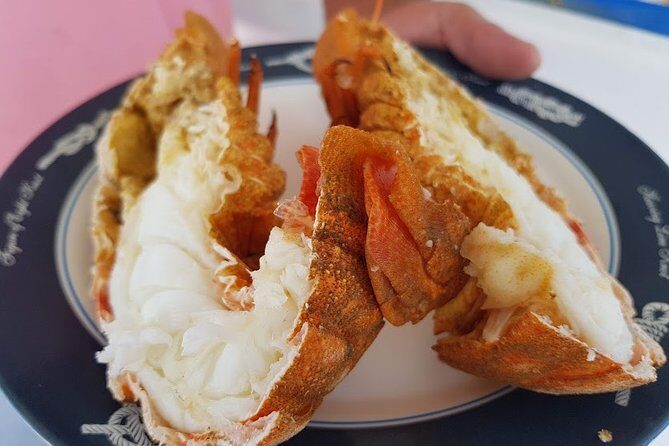 Private Fishing Tour - Sunset (transportation included) - Why This Tour Stands Out