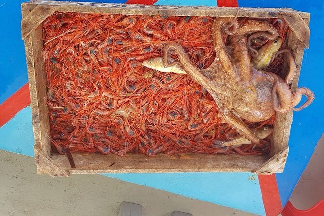 Private Fishing Tour - Sunset (transportation included) - Final Thoughts: Is It Worth Booking?