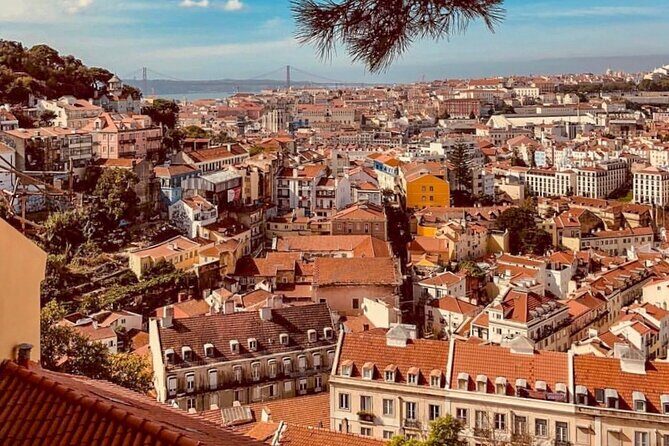 Private Food and Wine Tour: From Street to Gourmet - What Real Travelers Say