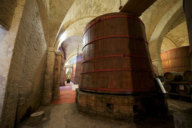 Private Food and Wine Tour in the Cellar with Tastings - What to Expect from the Itinerary