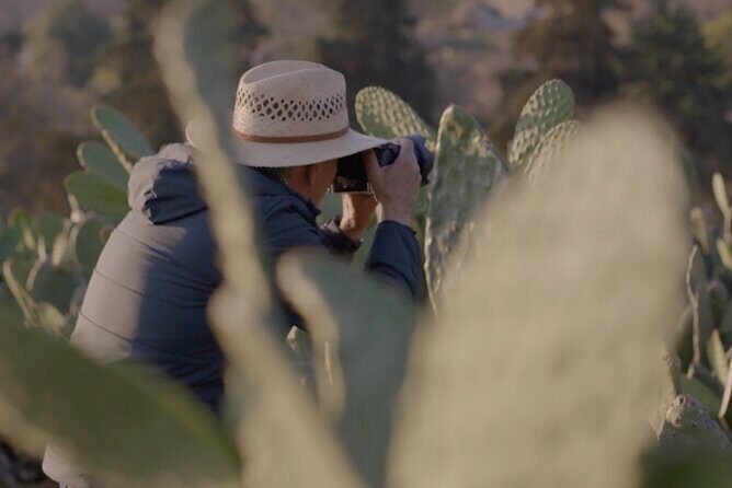 Private Food Tasting and Filmmaking Tour in Mexico City - An In-Depth Look at the Tour