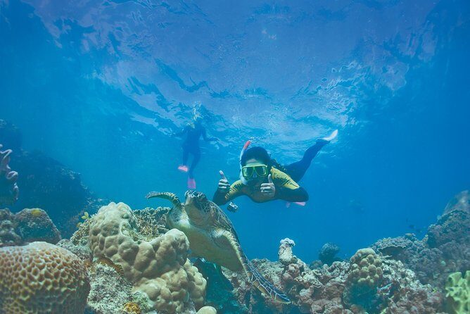 Private full day catered & crewed yacht charter- Airlie Beach - FAQ