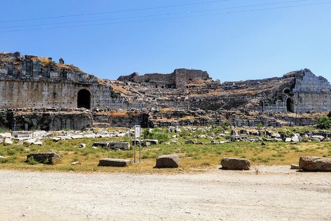 Private Full-Day Ephesus Tour with Miletus and Didyma for Cruise Guests - Key Points