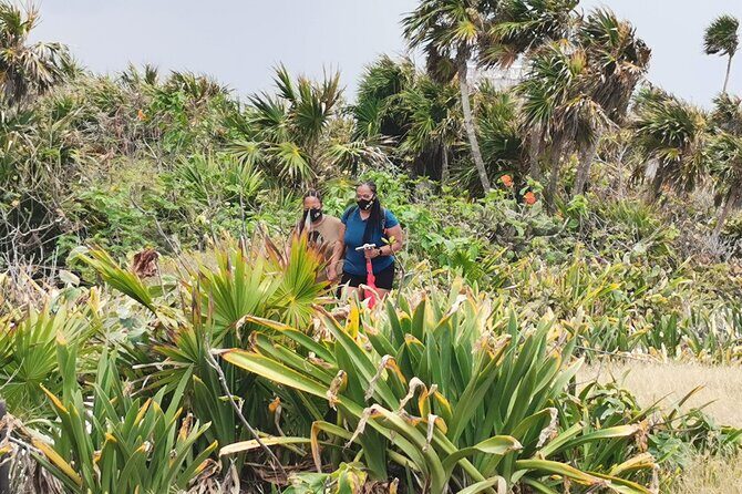 Private Full-Day Guided Tulum Coba and Cenote Tour with Lunch - Wrapping It Up