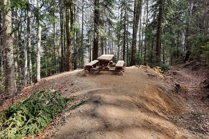 Private Full-Day Hiking Tour in Piatra Craiului National Park - Detailed Breakdown of the Itinerary