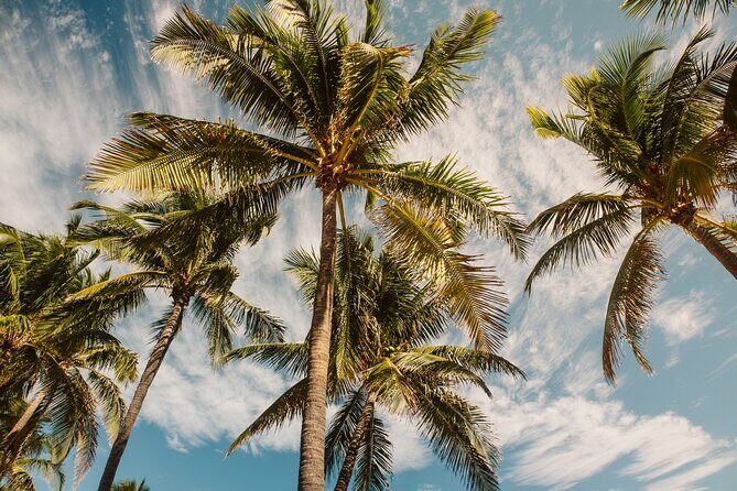 Private Full-Day Lagoon Adventure in Bora Bora with BBQ Lunch - Transportation, Group Size, and Pricing