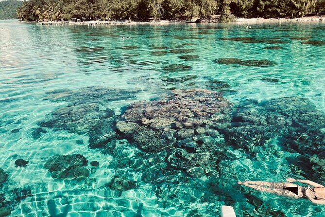 Private Full Day Lagoon Safari and Lunch on a Motu in Bora Bora - Frequently Asked Questions