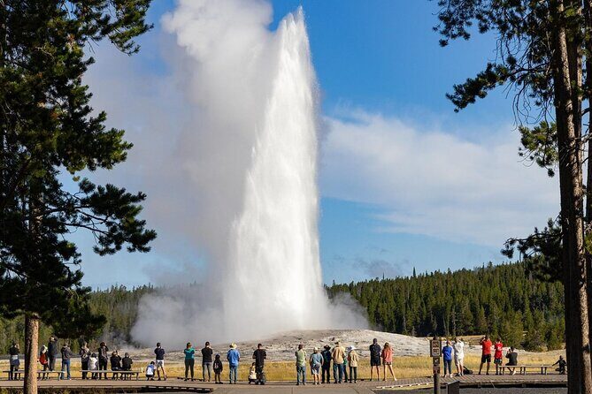 Private Full Day Luxury Tour at Yellowstone Park - Review Insights and Practical Tips
