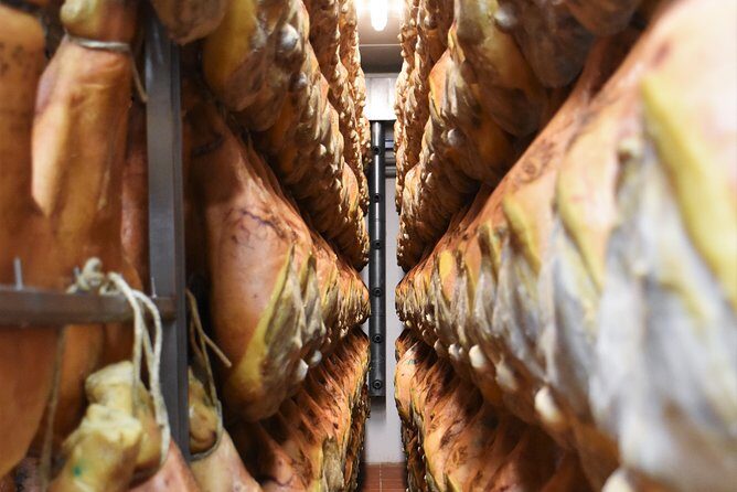 Private Full Day Parma Food Tour: Parmesan Cheese, Parma Ham, Lunch, Vinegar - Why This Tour Works Well for Different Travelers