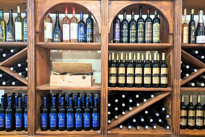 Private Full Day Peljesac Wine Tasting Tour from Dubrovnik - Who Will Love This Tour?